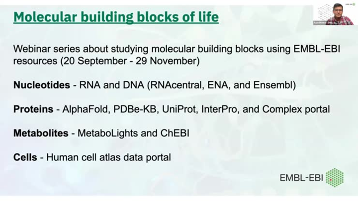 Using RNAcentral to explore and investigate non-coding RNA sequences