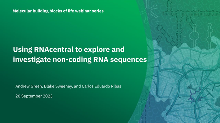 Using RNAcentral to explore and investigate non-coding RNA sequences