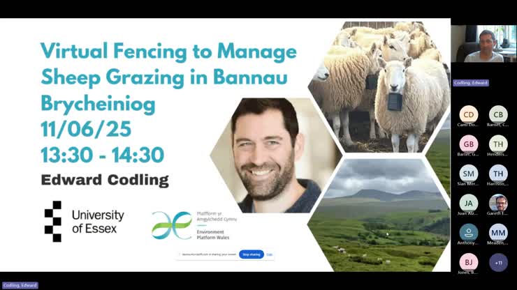 Insights Wales Cipolwg Cymru-Prof Edward Codling