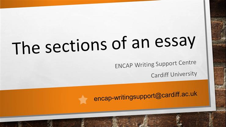 The sections of an essay