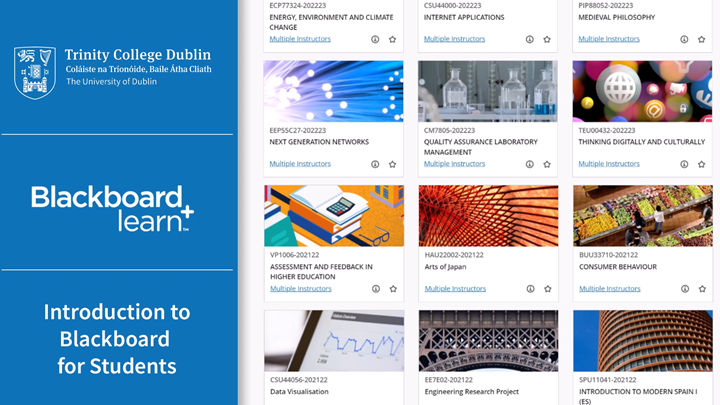 Introduction to TCD Blackboard for Students 2023/24