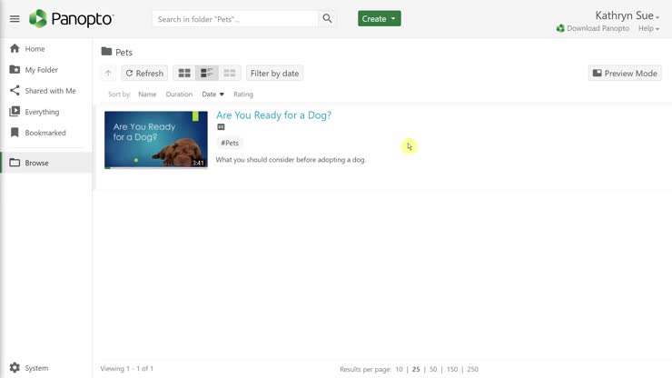 Learn About the Features of the Video Viewer