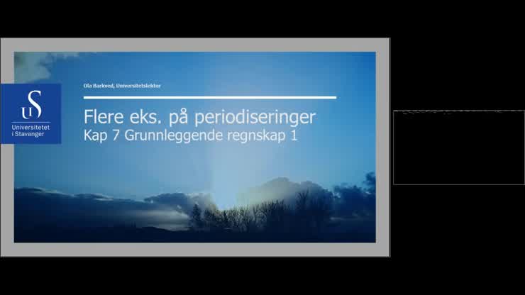 Flere eksempler på periodiseringer