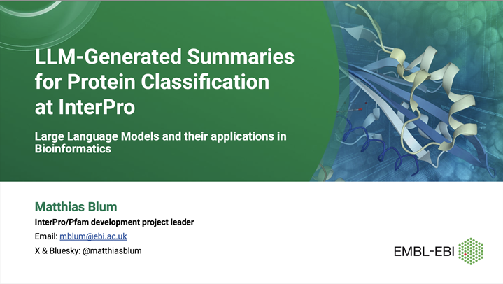 LLM generated summaries for protein classification at InterPro
