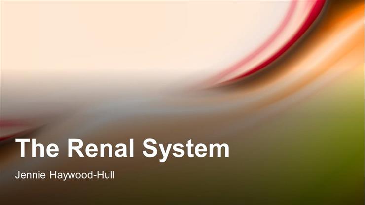 Renal system