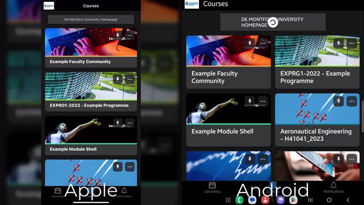 How to Access the Pulse App (iOS and Android)