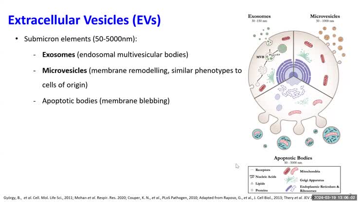Human plasma extracellular vesicles during severe malaria – potential ...