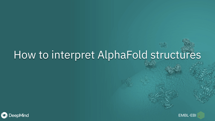 How to interpret AlphaFold structures
