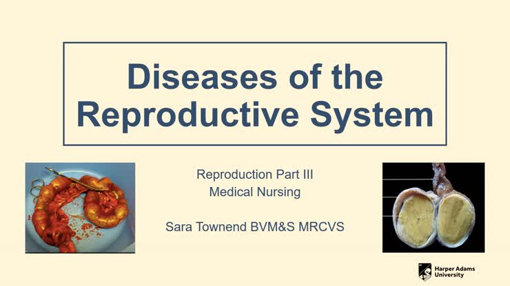 MN Reproduction (Disease of the Reproductive System) 2020-21 - Narrated