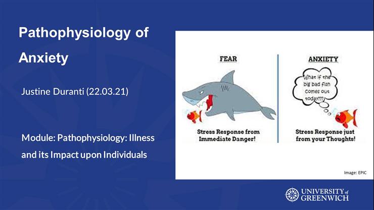 Pathophysiology of Anxiety- VIDEO 2