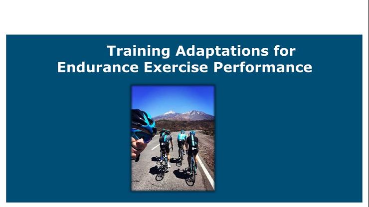 Training Adaptations for Endurance Exercise Performance