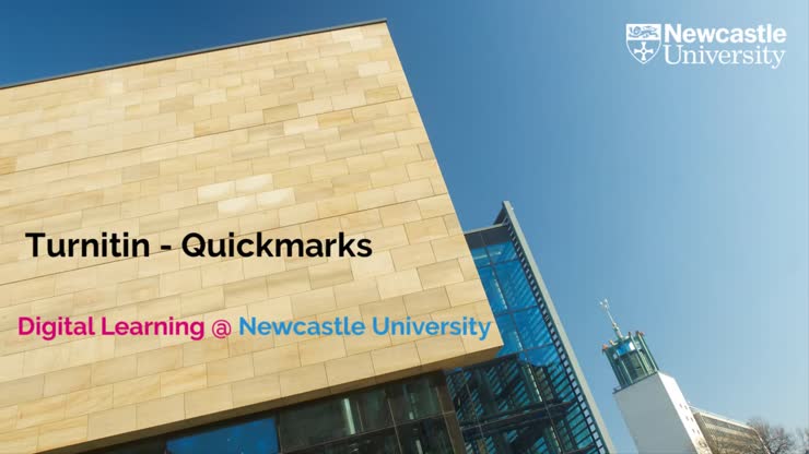Turnitin Quickmarks - Canvas