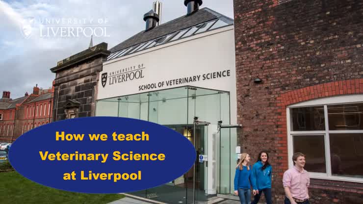 The Veterinary degree course at Liverpool - teaching and learning