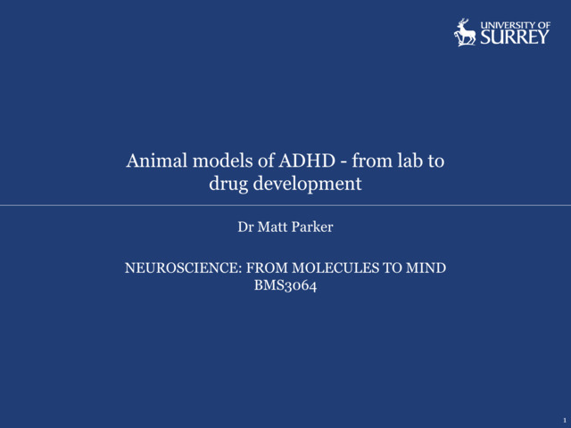 ADHD - animal models, drug discovery
