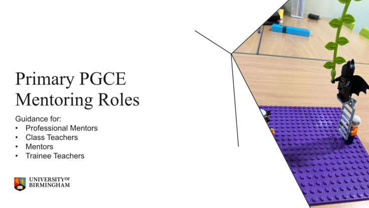 Primary PGCE Mentoring Roles