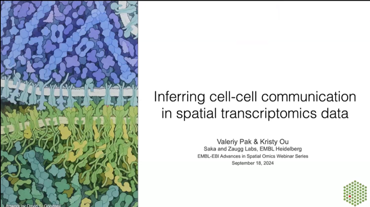 Inferring cell-cell communication through spatial transcriptomics data