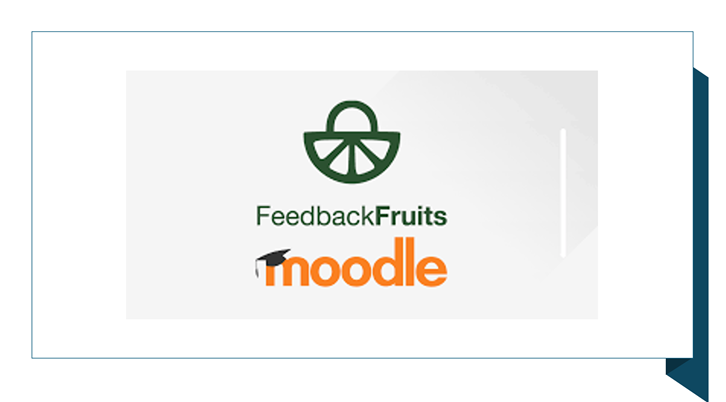 Online workshops EdTech - FeedbackFruits