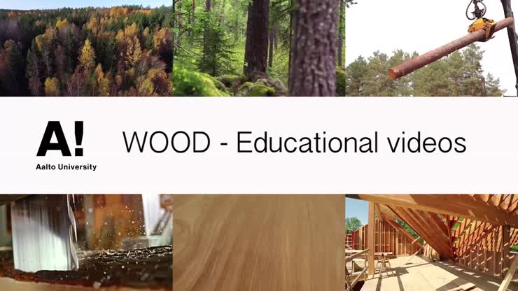 Wood modification- Intro to wood modification