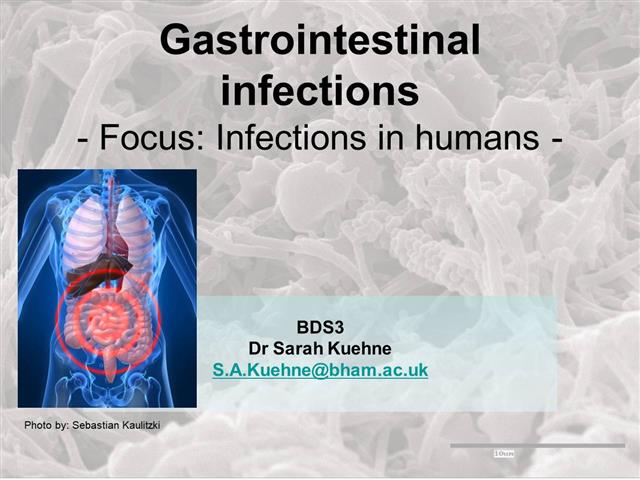 GI Infections_Introduction
