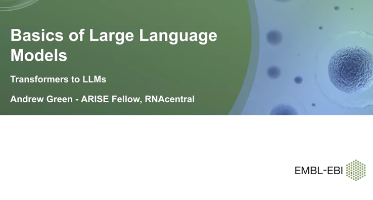 Basics of Large Language Models - transformers to LLMs