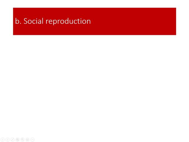 3b. Social reproduction