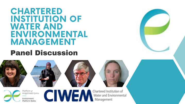 CIWEM panel discussion
