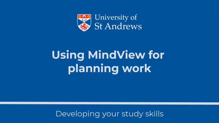 Using mindview for planning work