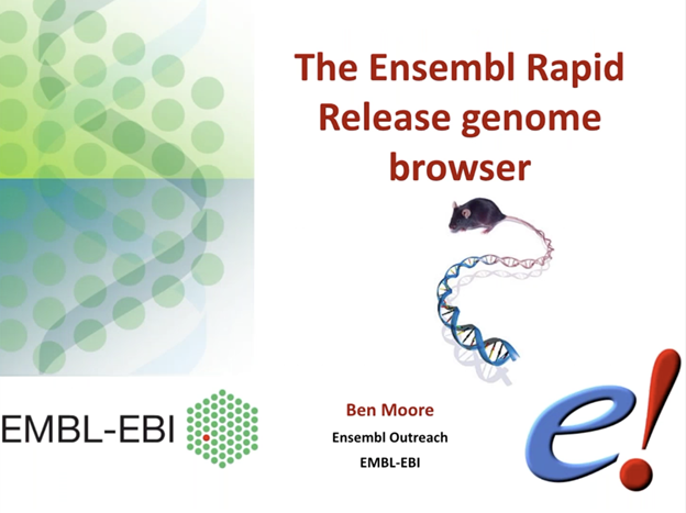 The Ensembl Rapid Release genome browser