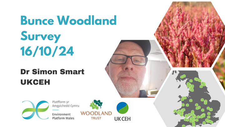 Insights Wales | Bunce Woodland Survey | Dr Simon Smart