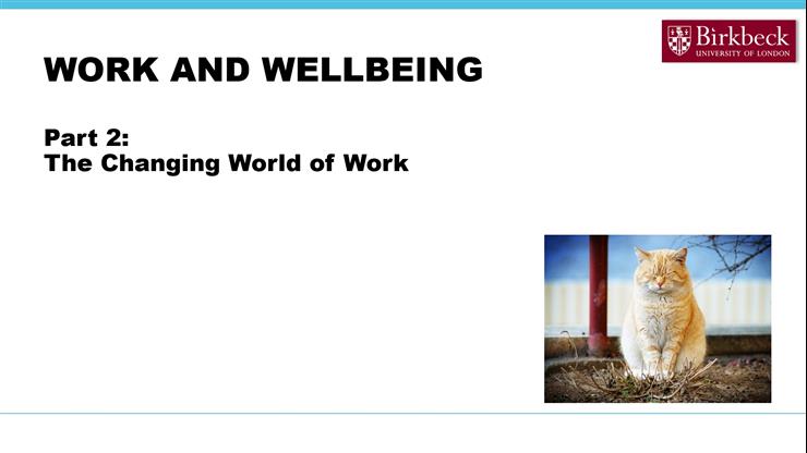 WWB Week 1 Lecture Part 2