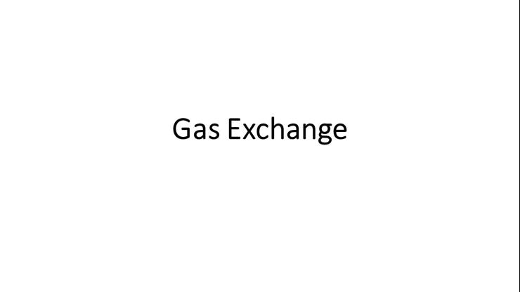 L7 Part 1: Gas Exchange