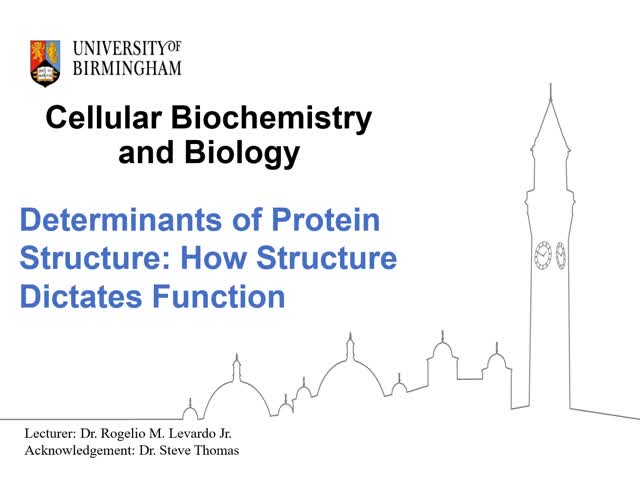 4 CBB Lecture - Protein Structure dictates function (Part 1)