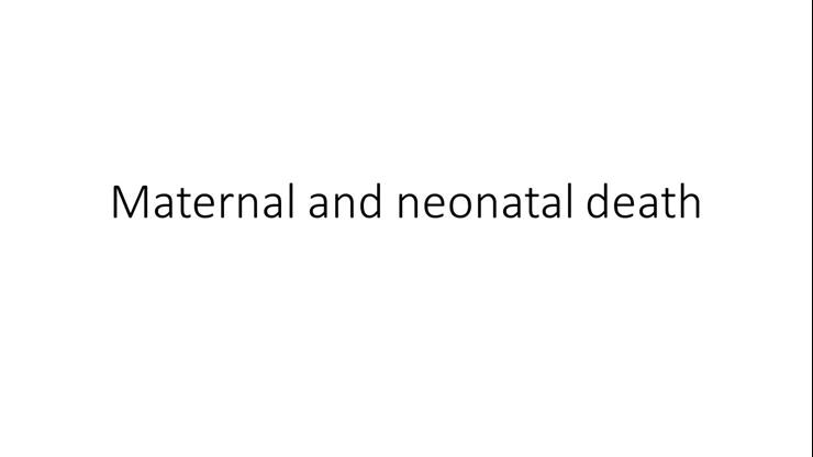 Maternal death reporting