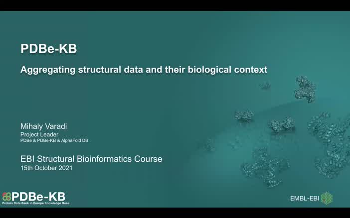 pdbe-kb-structural-bioinformatics-mvaradi
