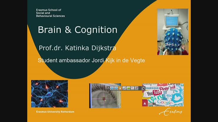 Brain and Cognition / Brein en Cognitie - Master in Psychology