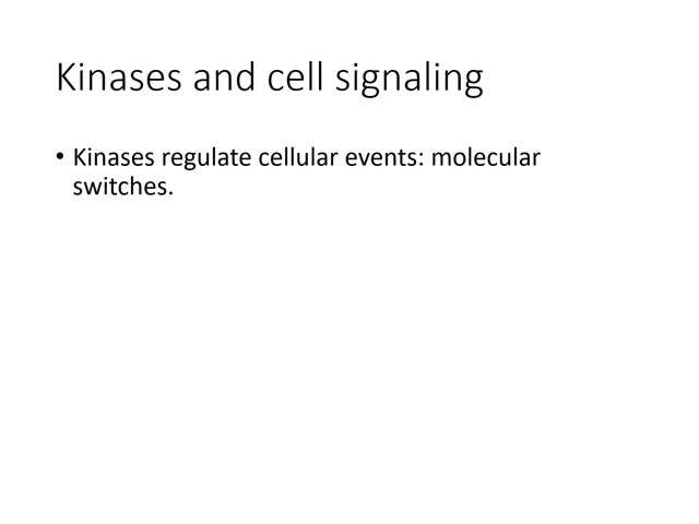 Zellbiologie_Susan_Mango_Lecture2_Part4