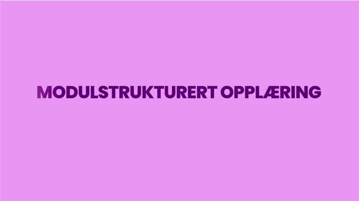 Modulstrukturert opplæring for voksne