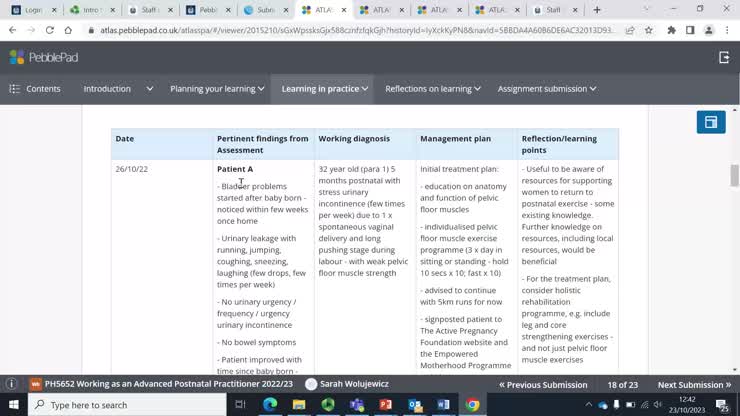 Previous exemplar portfolio examples
