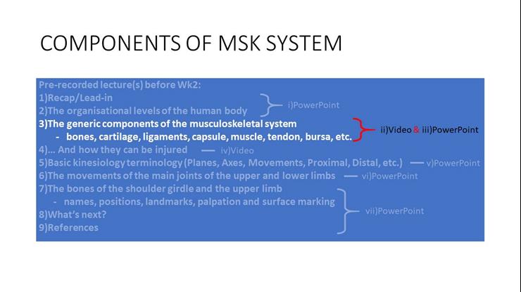 L1biii - Pre-recorded class Wk1 – (PPT) The generic components of the MSK system (bones ...