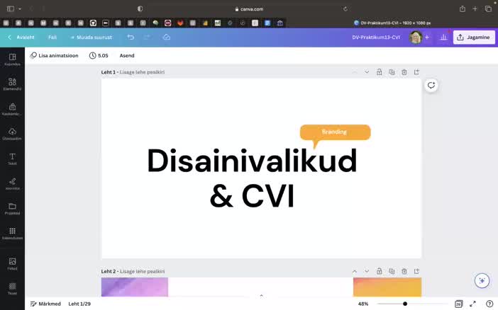 DataViz-Praktikum-3-4-CVI-elemendid-maagiline-Canva