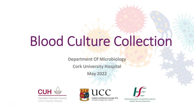 Blood Culture Collection