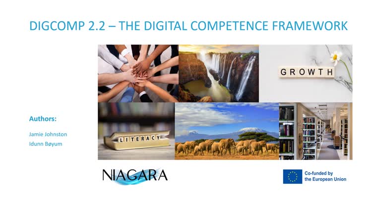 NIAGARA | DIGITAL CITIZENSHIP | PRESENTATION 4 | DIGCOMP 2.2 – THE ...
