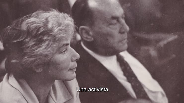 Persiguiendo la Revolución Marie Langer, Psicoanálisis y Sociedad