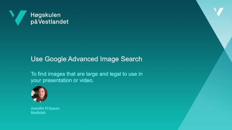 Google Advanced Image Search