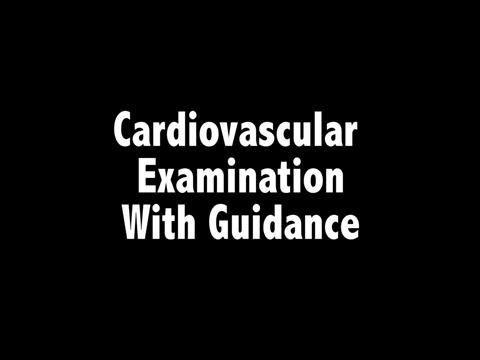 Cardiovascular Examination with guidance