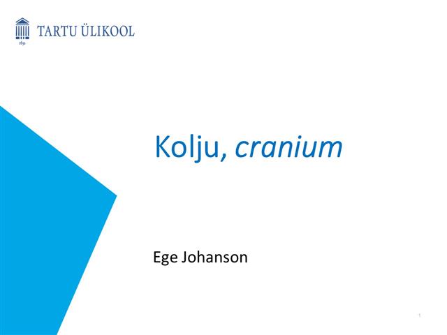Skeletisüsteem (Kolju)