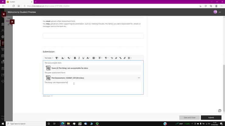 Upload other supporting documentation