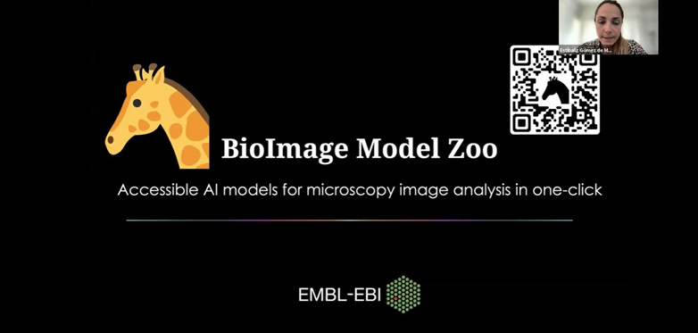 Microscopy data analysis | BioImage Model Zoo – lecture and questions Esti Gomez de Mariscal ...