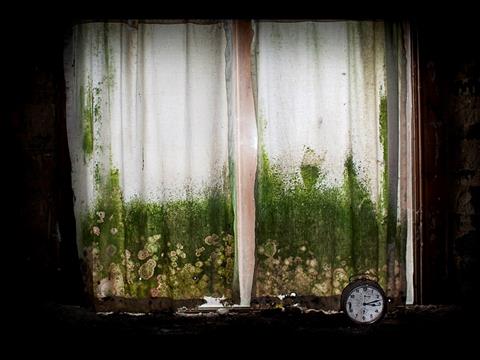Architecture in Time - 23 October 2015 - Session 1 (3rd paper Freddie ...