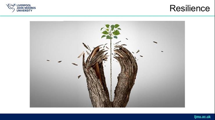 Resilience - 'What's Next For You?'